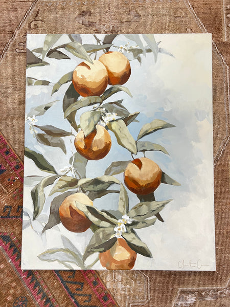 Wild Orange – Artist Collectives