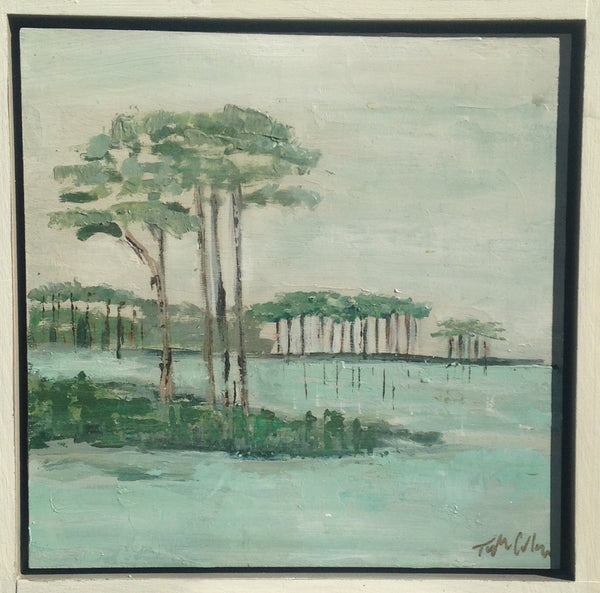 Western Lake 30A- Tyler Colgan – Artist Collectives